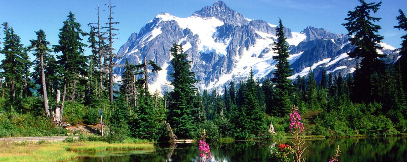 Bellingham Whatcom County, Washington