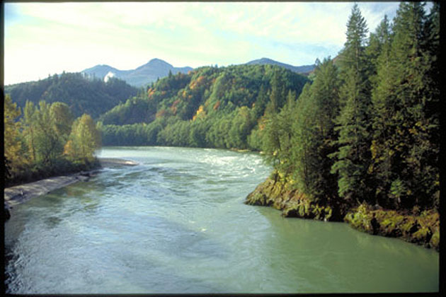 Skagit River