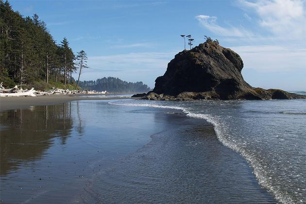 La Push Beach